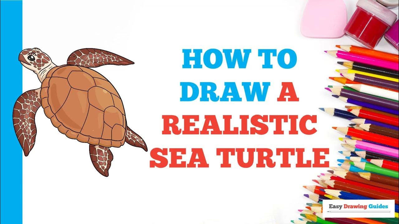 How to Draw a Realistic Sea Turtle: Easy Step by Step Drawing Tutorial ...