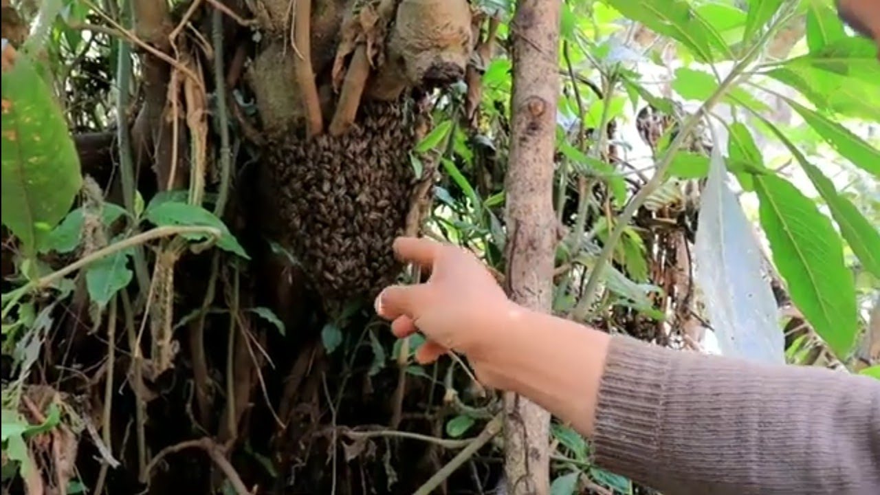 3 चोती सम्म पनि रानी भागेसी फेरि एस्तो bhayo🙄🙄🙄 - YouTube