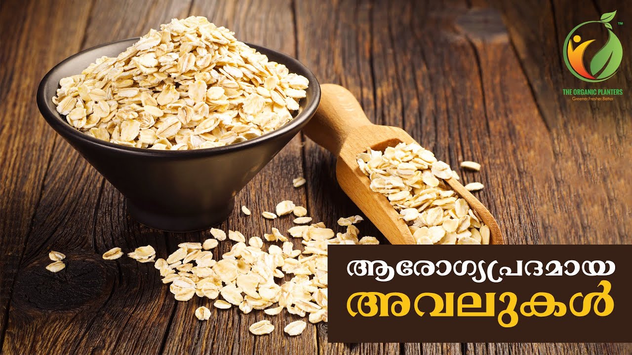 Different Types of Healthy Flakes| Millet Flakes| Wheat Flakes| Rice ...