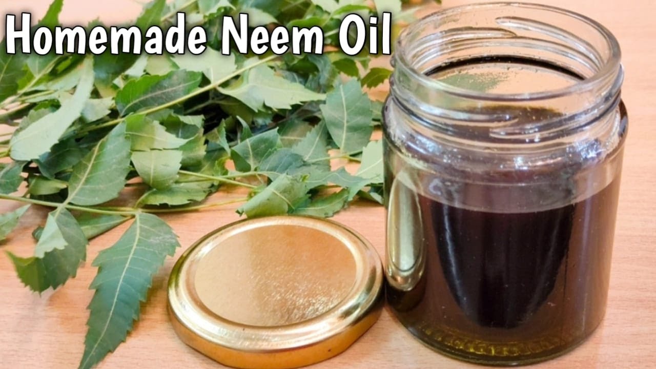 How To Make Neem Oil