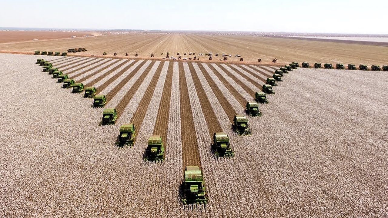 Largest Farms In The World That Will Shock You YouTube largest-farms-in-the-world-that-will-shock-you-youtube