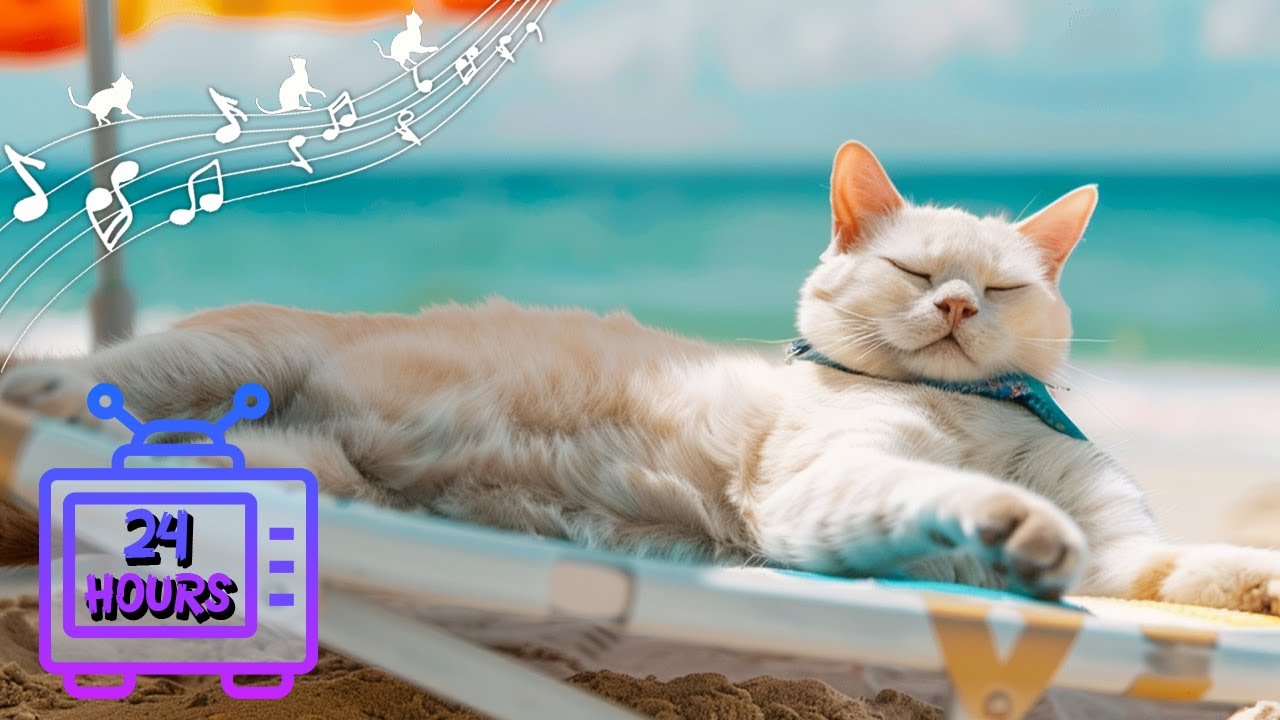 Calming Music for Cats | Make Your Cat Happy, Relaxation, Deep Sleep ...