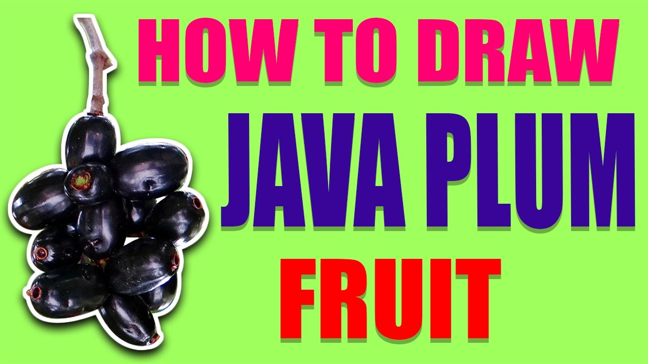 How To Draw With Java at Ricky Payne blog How To Draw With Java at Ricky Payne blog
