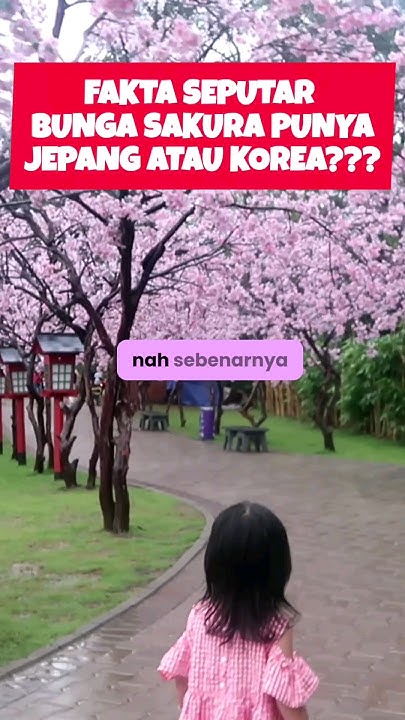 FAKTA SEPUTAR BUNGA SAKURA‼️#short #shorts #shortvideo #bungasakura #sakura #korea #jepang # ...