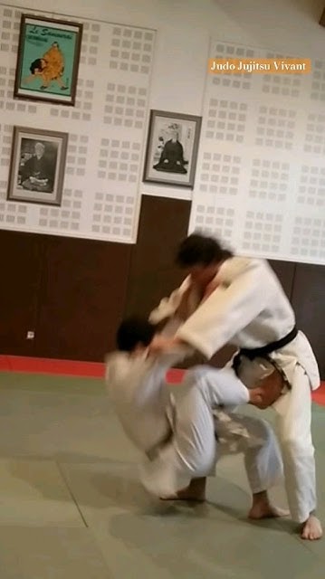Comment faire Tomoe-nage pour L'UV2 Technique 1er DAN Judo Jujitsu - YouTube