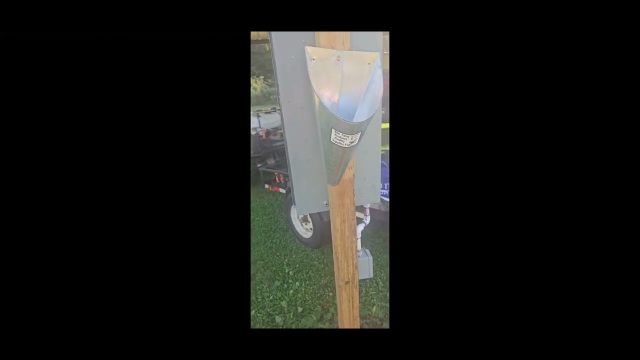 Quail lean to project day 1! - YouTube