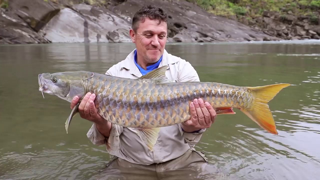 Golden Mahseer Trips with The GREATEST Fish - YouTube