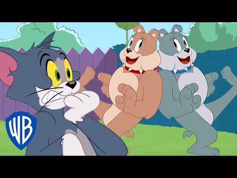 Tom & Jerry | Spike's Brother | WB Kids