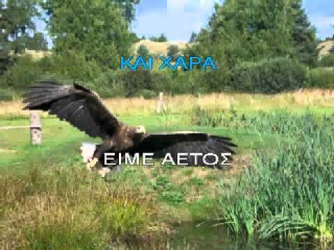 ΚΑΡΑΟΚΕ ΑΔΑΜ ΕΙΜΑΙ ΑΕΤΟΣ ΧΩΡΕΙΣ ΦΤΕΡΑ.avi - YouTube