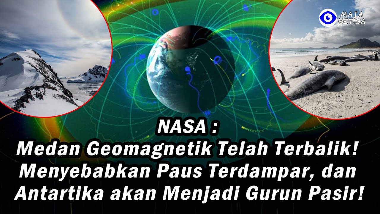 NASA : Medan Geomagnetik Telah Terbalik! Paus Terdampar, dan Antartika ...