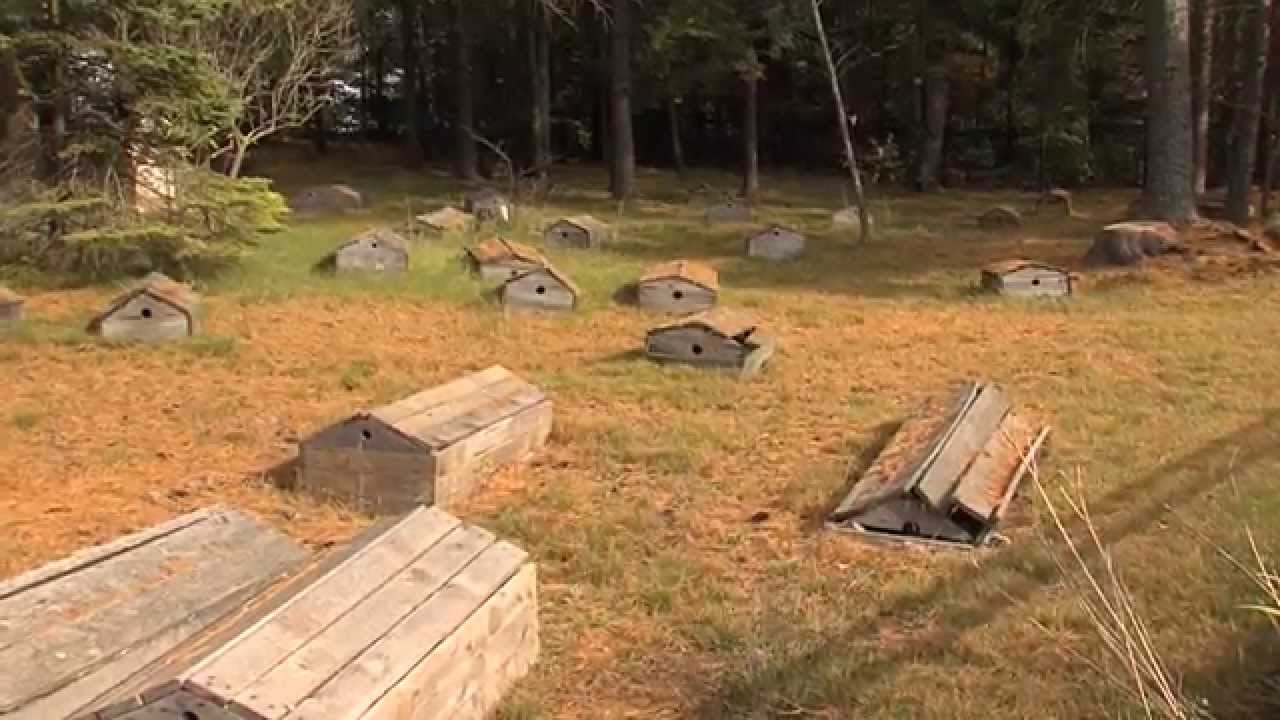 Great Getaways Native American Burial Ground Eastern Upper Peninsula great-getaways-native-american-burial-ground-eastern-upper-peninsula