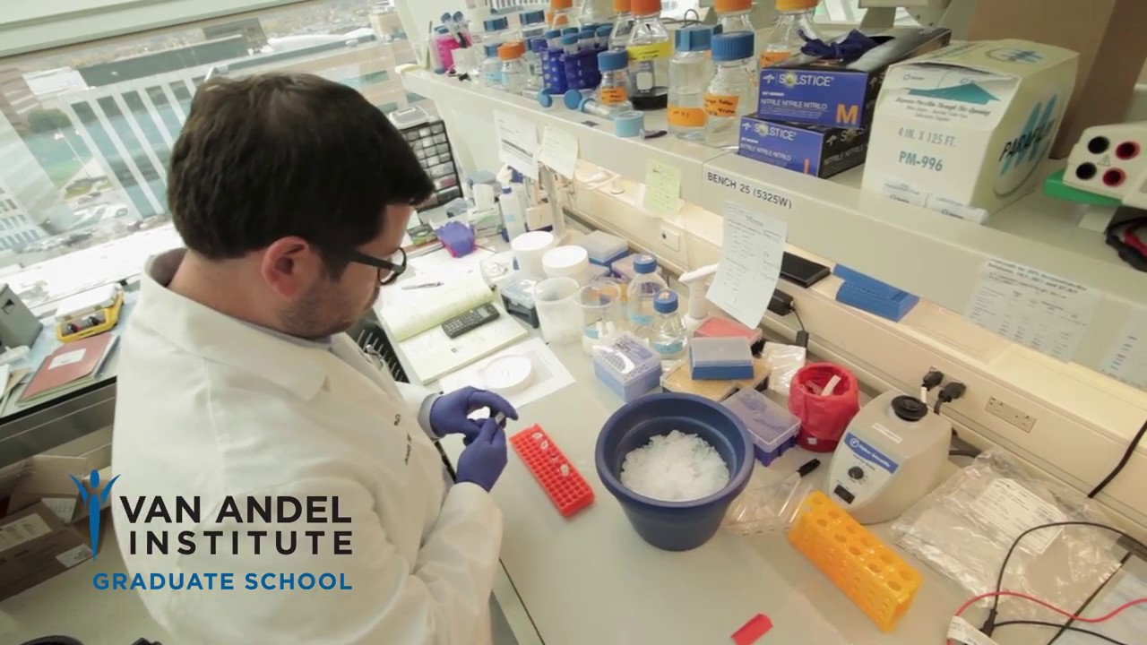 Van Andel Institute Graduate School Teaser - YouTube