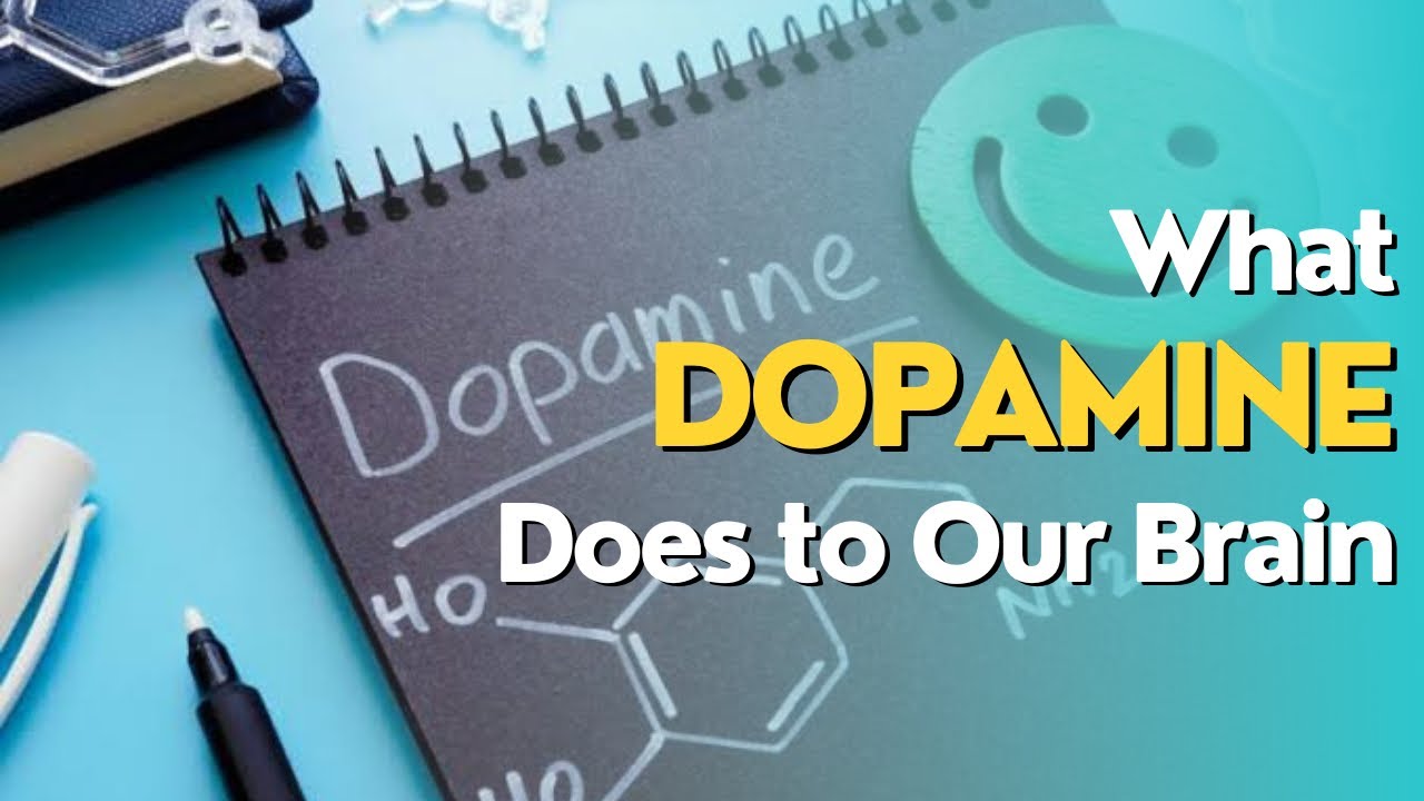 What is DOPAMINE? and How it functions in our body? - YouTube