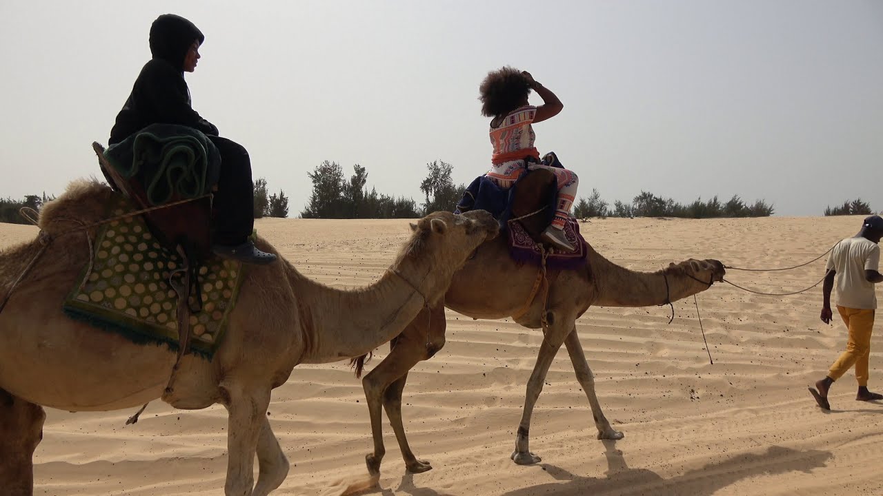 Camel Ride Adventure in the Desert in Lac Rose - Senegal April 2023 ...