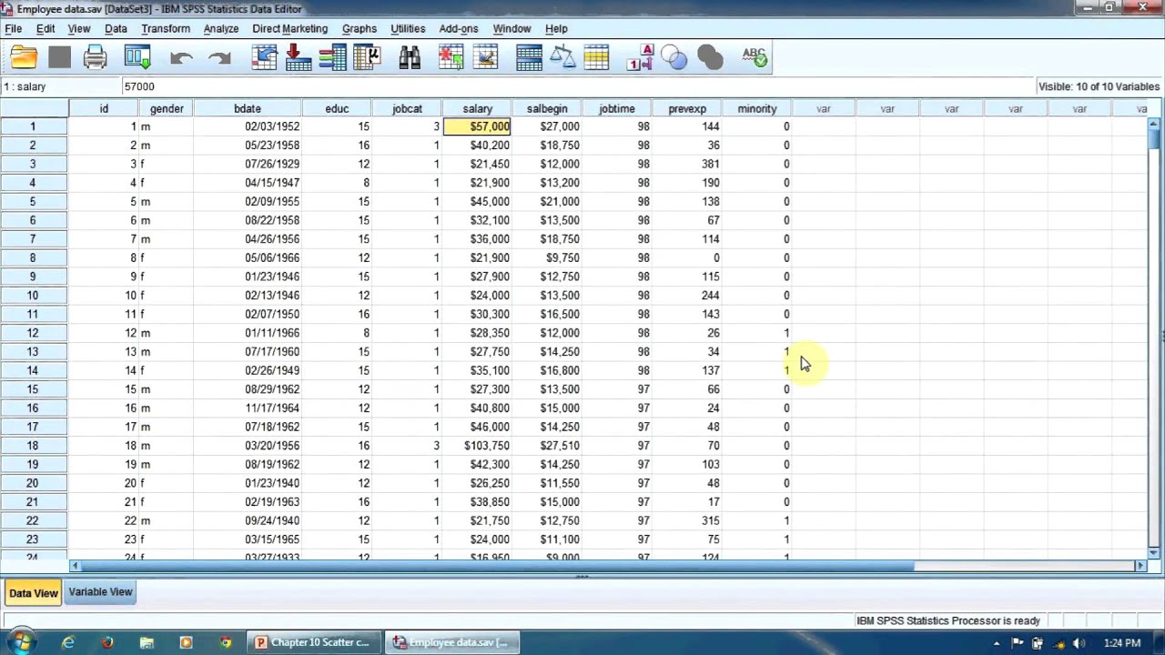 Lesson 10 - Building Scatterplot Charts in SPSS - YouTube