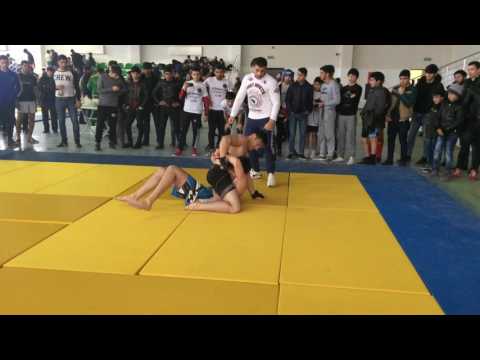 Elsen Memmedov (qaydasiz doyus)Lokbatanli