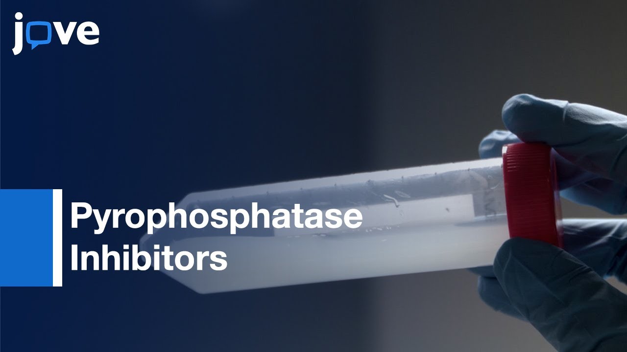 Membrane-Bound Pyrophosphatase Inhibitors Screening | Protocol Preview ...