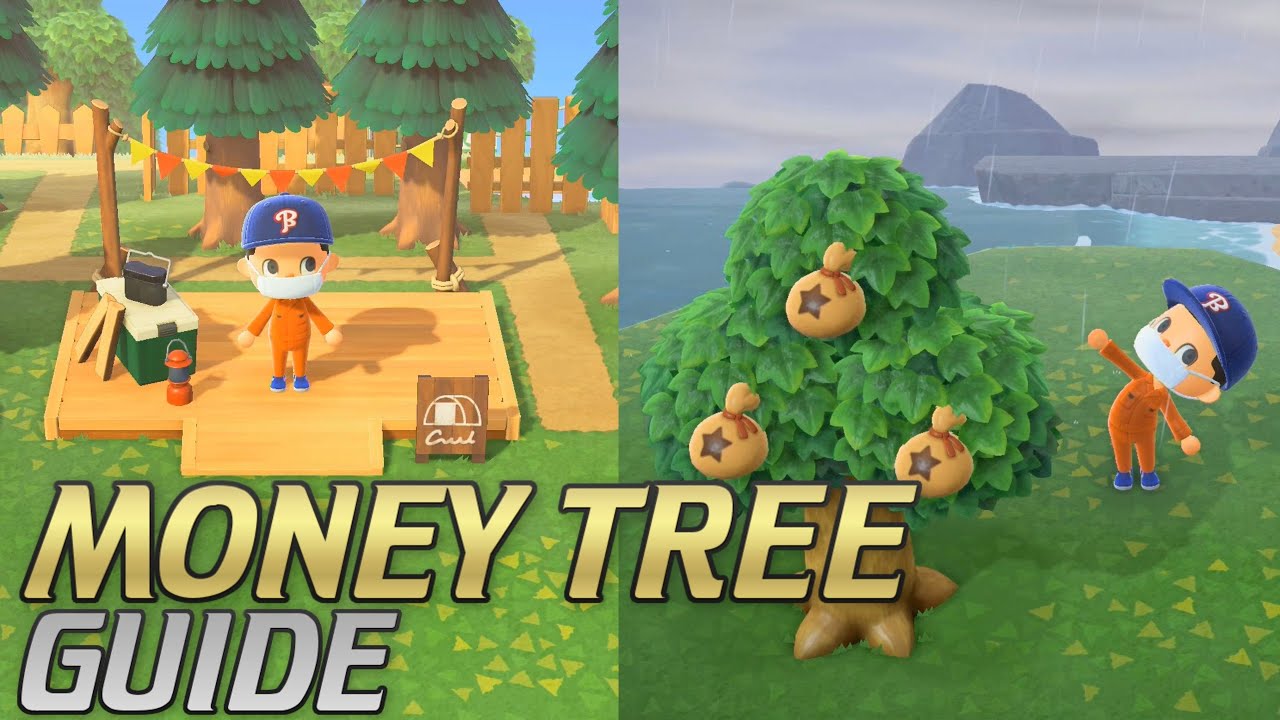 Animal Crossing New Horizons - Money Tree Guide - YouTube