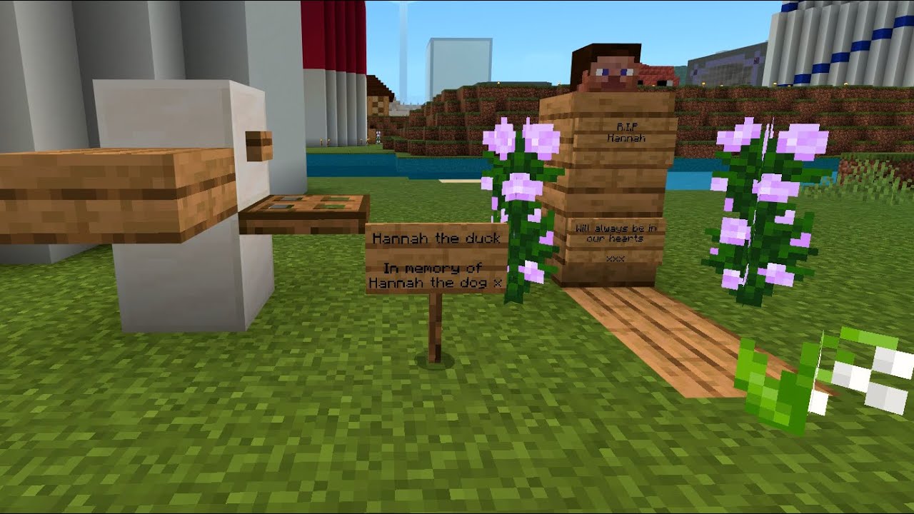 Minecraft - Dead Dog (605) - YouTube