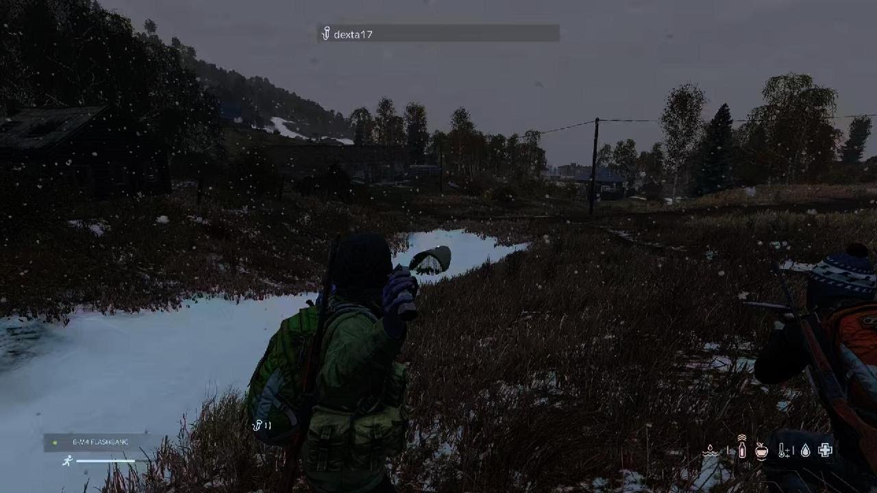 DayZ Fox Stun - YouTube