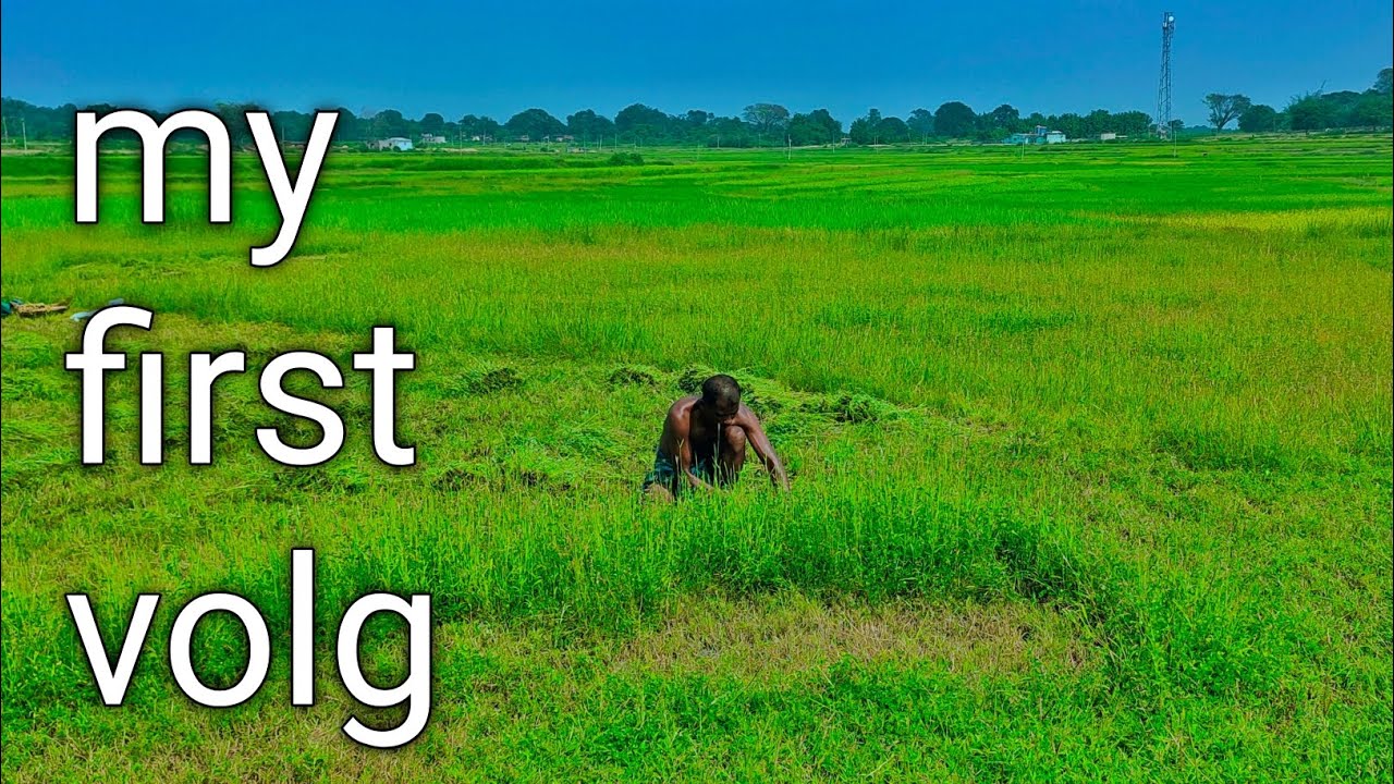 my first volg - YouTube