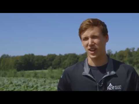 Fruit and Vegetable Crop Management at MSU IAT/Southwestern Michigan ...
