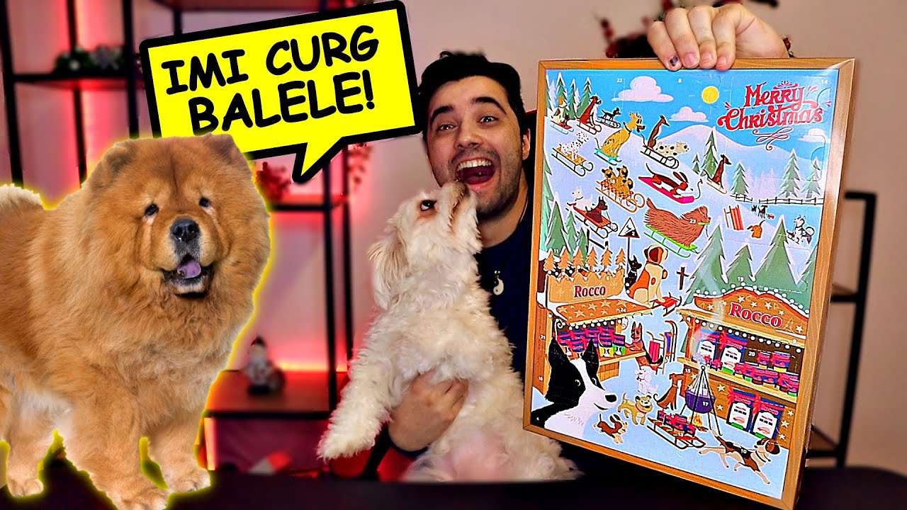 DESCHID PRIMUL CALENDAR ADVENT DIN 2021 PENTRU CÂINI !! - YouTube