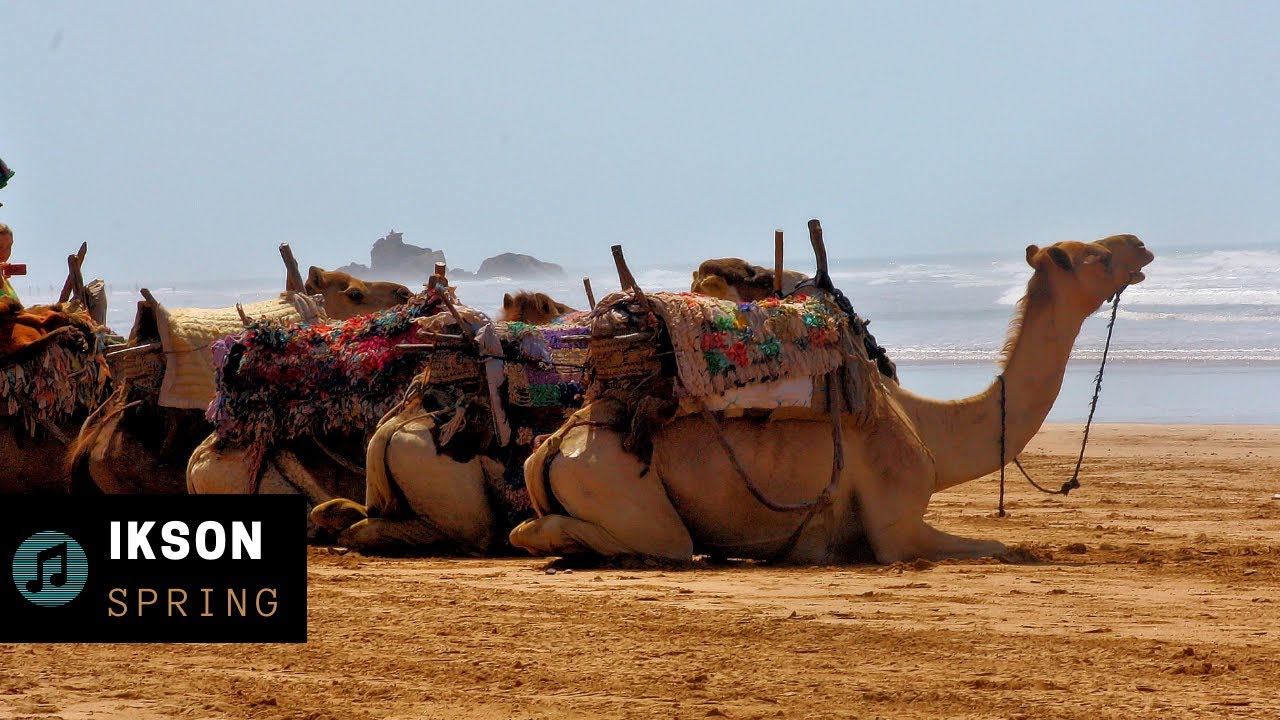 Ikson - Spring (No Copyright Music for Vlog) - YouTube