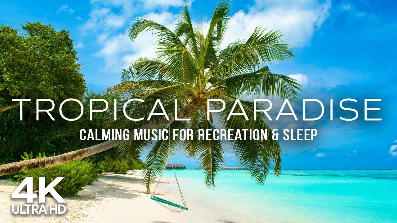 8 Hours Calming Music for Sleep and Relaxation & Incredible Ocean Views ...