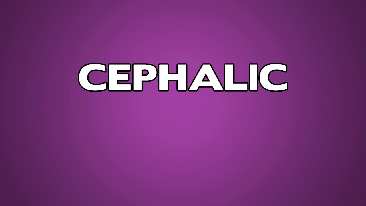 Cephalic Meaning YouTube cephalic-meaning-youtube