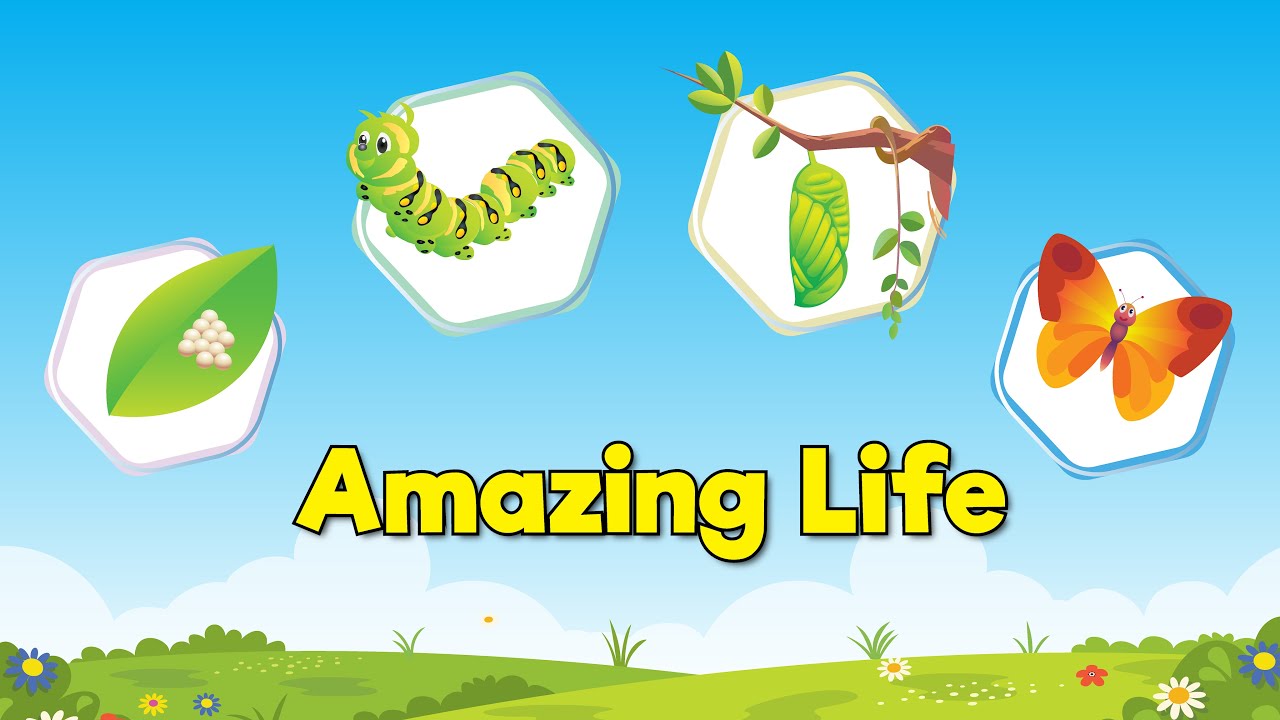 Amazing Life | Learning video for kids | Learn about the Amazing life ...