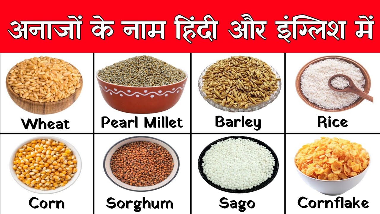 Cereals and grains name in hindi and english | अनाजों के नाम हिंदी और इंग्लिश में | Names of ...