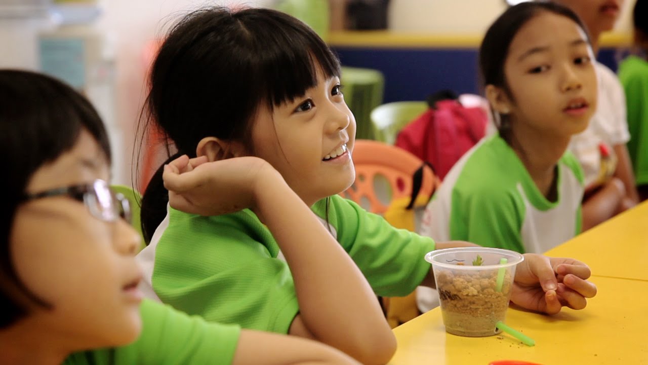 Mini Rain Garden Workshop @ NVC - YouTube