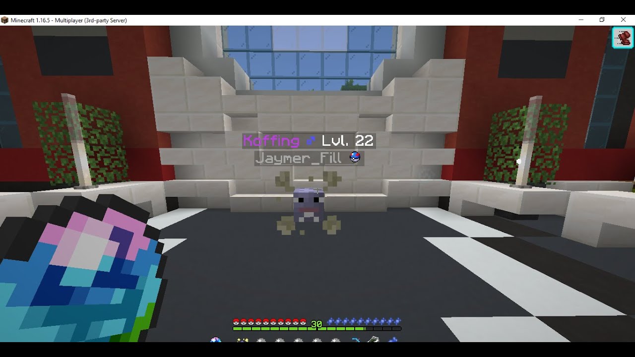 (POKEWILD) Minecraft= KOFFING HUNT FOR IV!!!! (struggles of FTP) - YouTube