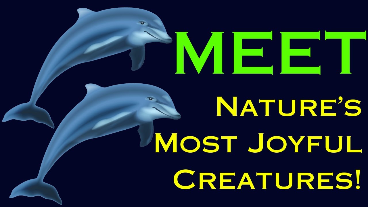 Meet Nature's Most Joyful Creatures ! - YouTube