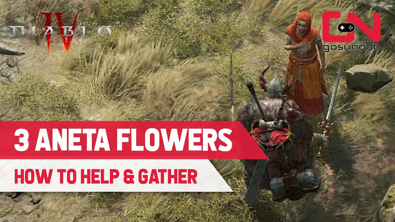 How to Help Aneta Gather 3 Flowers in Diablo 4 - YouTube