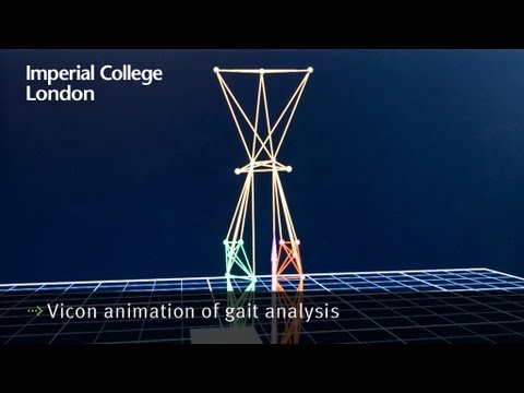 Vicon animation of gait analysis - YouTube