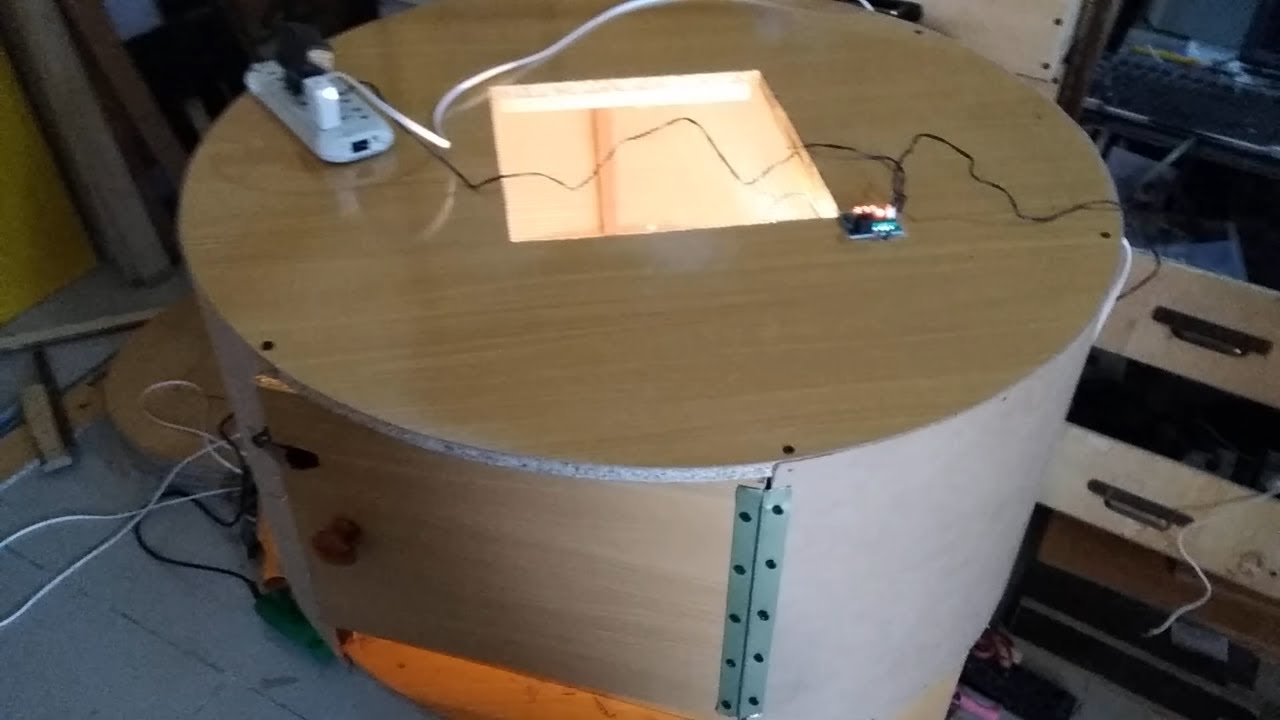 300 quail chicks large size brooder box - YouTube