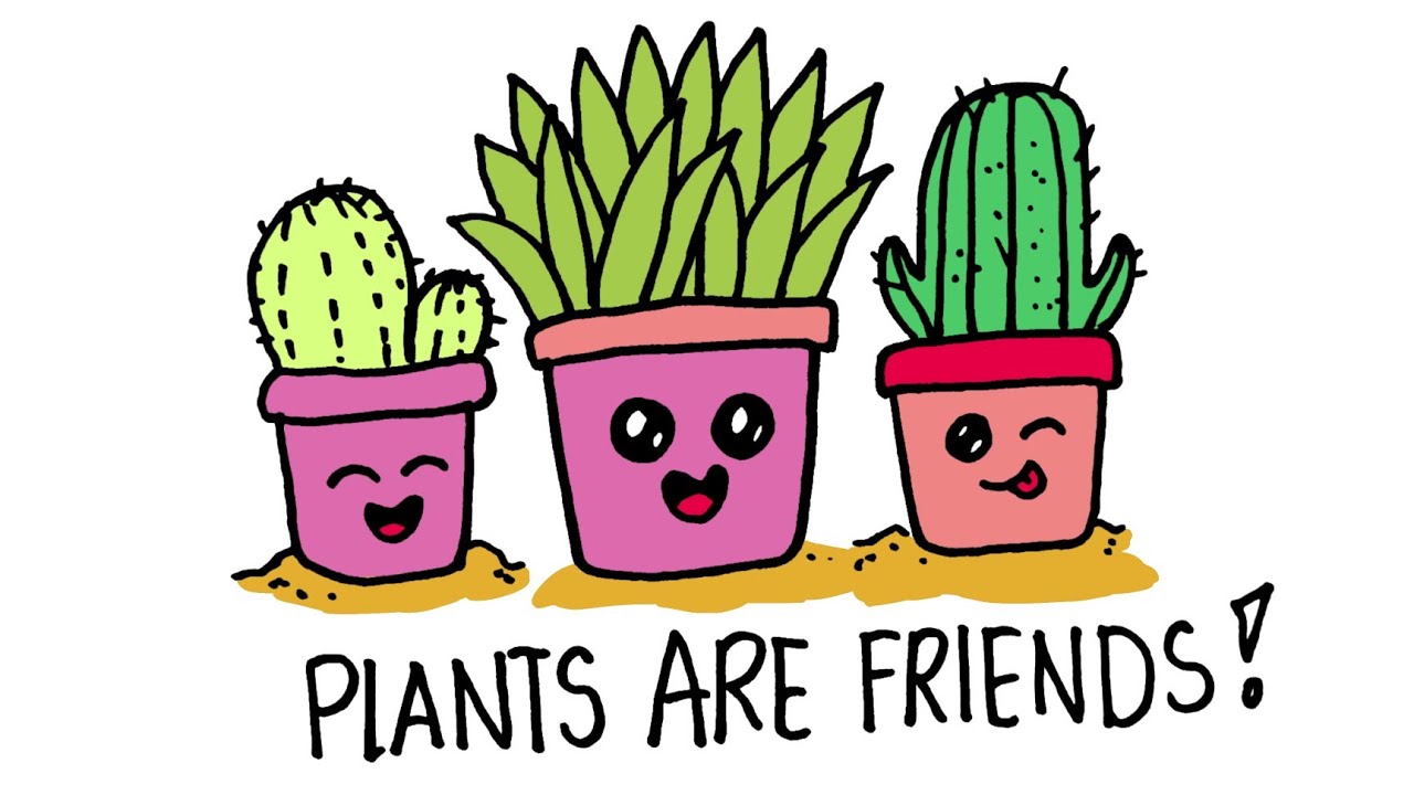 how to draw plants | plants are friends - YouTube
