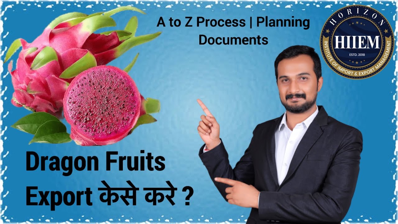 How to Export Dragon Fruits from india | Complete detail process By ...