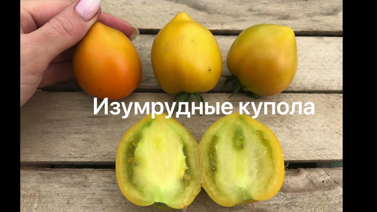 Помидоры Изумрудные купола F1. - YouTube