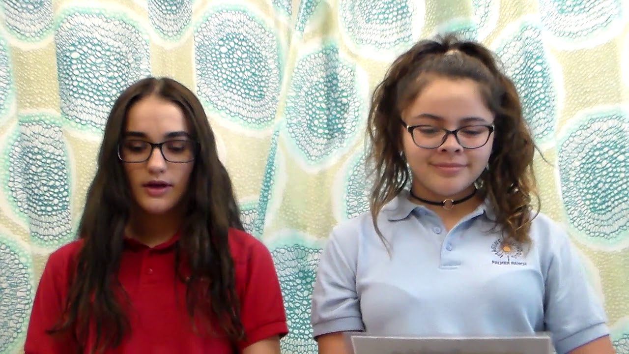 Imagine School at Palmer Ranch News 1/10/18 - YouTube