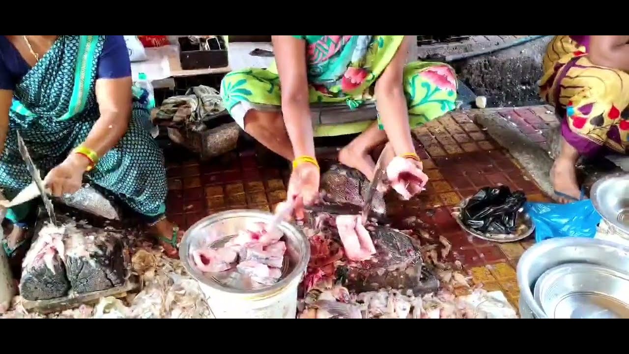 Fish Eggs Collections // 7kg Big Rohu Fish Cutting & Chopping By Expert ...