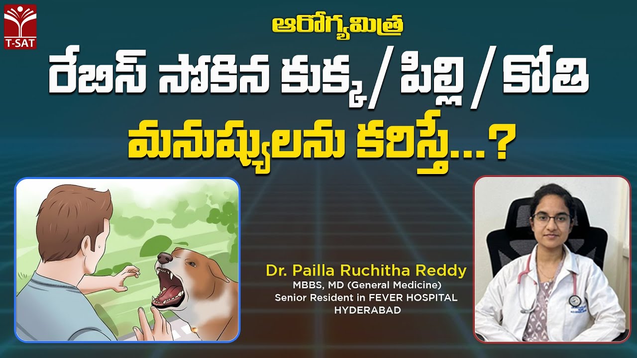 ఆరోగ్యమిత్ర | 🐕‍🦺రేబిస్ సోకిన కుక్క / పిల్లి / కోతి మనుష్యులను కరిస్తే ...