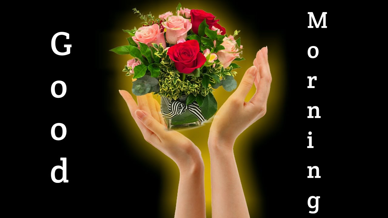 Good Morning Video - YouTube