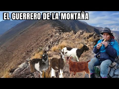 El HOMBRE CIEGUITO que desafía las MONTAÑAS  junto con sus CABRAS, casi no lo encontramos 