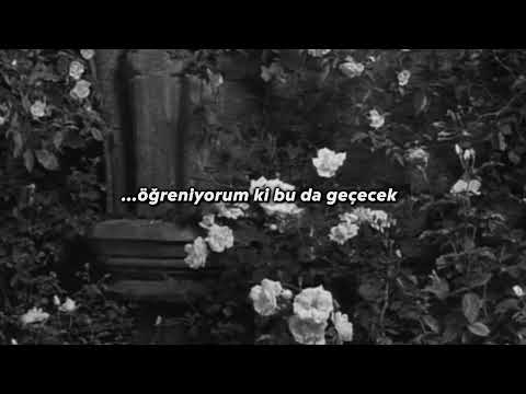 My Morning Jacket - Dondante (Türkçe Çeviri)