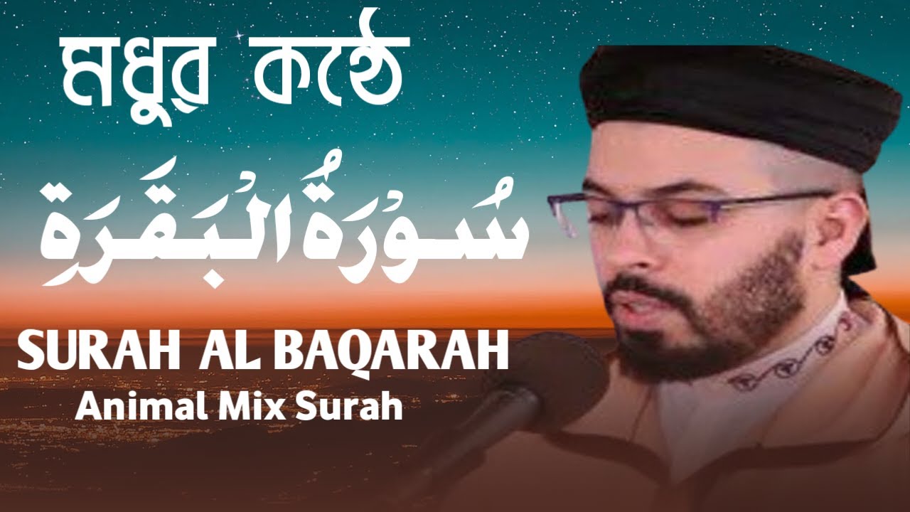 Most beautiful Quran recitation of Surah al Baqarah mix Ocean Fish -by ...