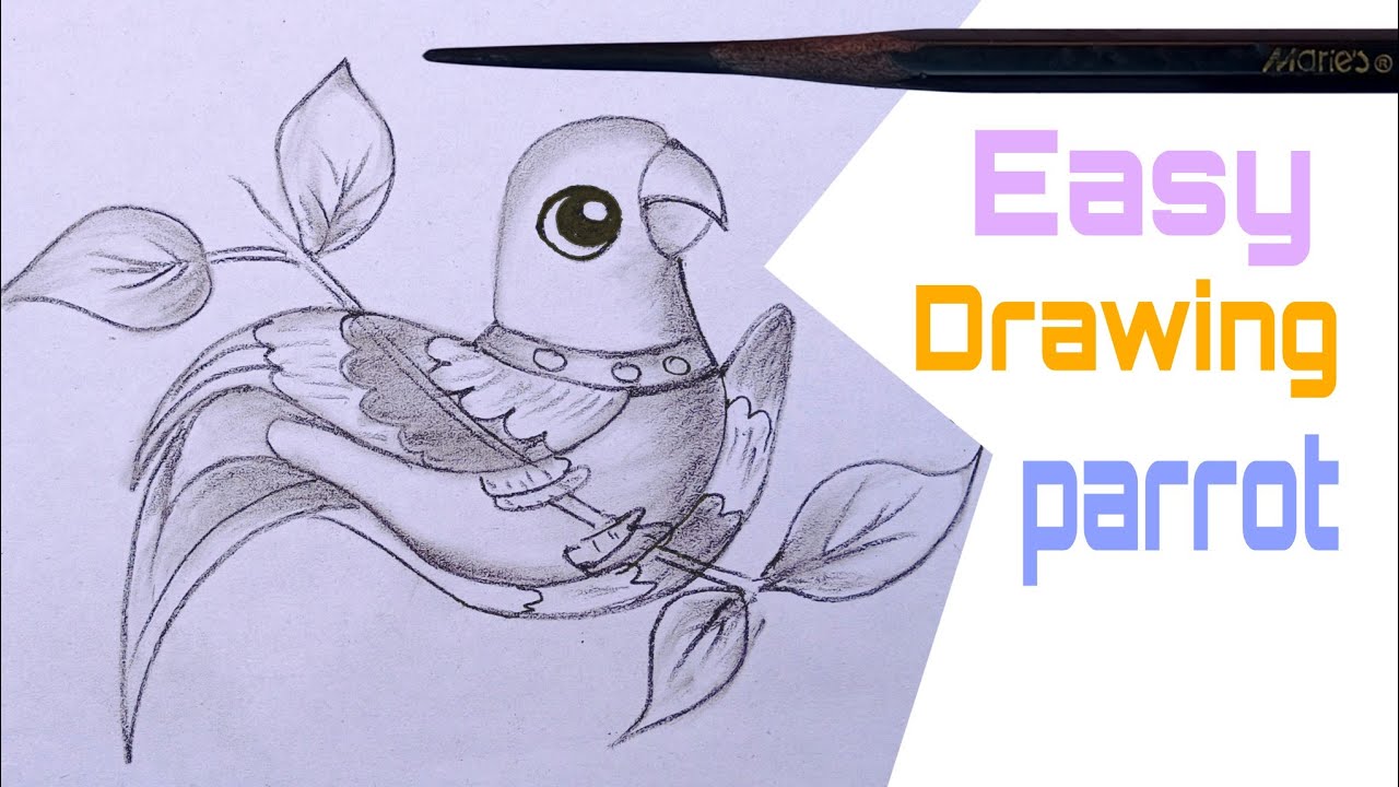 ThusHow To Draw ‎Parrot Drawing | ‎papağan çizimi |‎how to draw bird ...