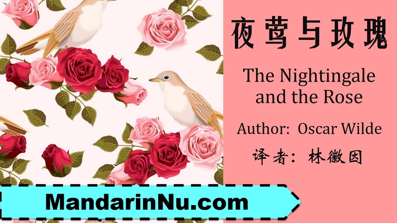 Audio Book - The Nightingale and the Rose - Oscar Wilde - 夜莺与玫瑰 - YouTube